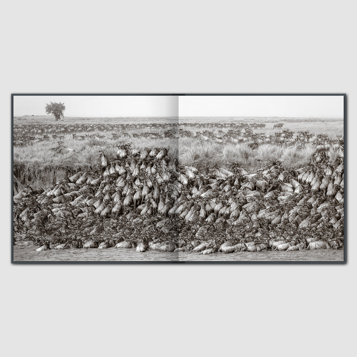 All Eyes Speak One Language (Deluxe Edition) – David Lloyd Store